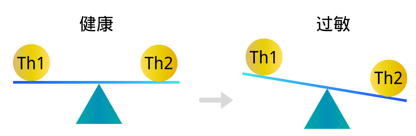 Th1/Th2 – 谷禾健康