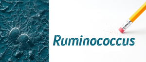 ruminococcus – 谷禾健康