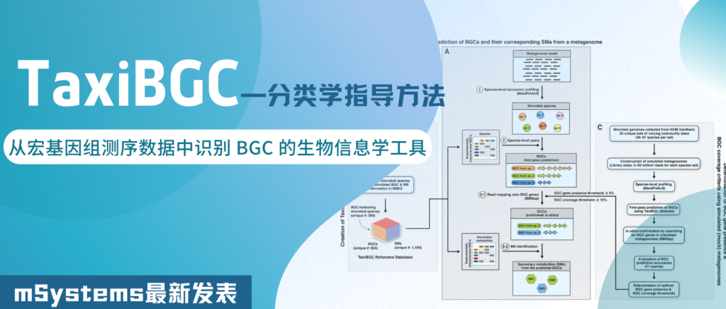 生物合成基因簇 (BGC) – 谷禾健康