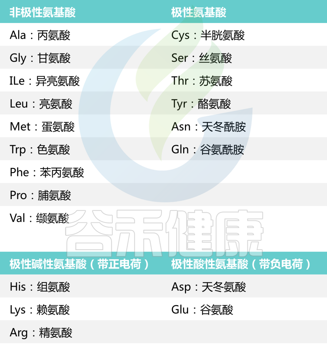 氨基酸代谢：从基础到应用，揭示其在健康与疾病的角色 – 谷禾健康