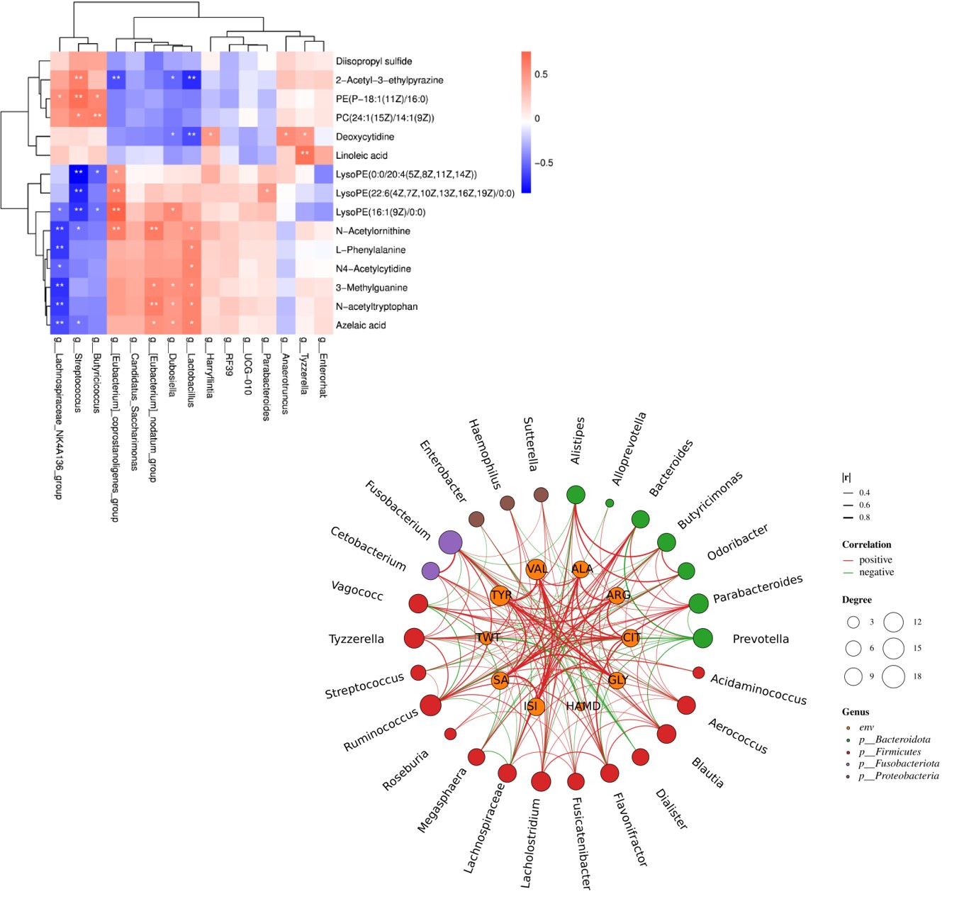Lefse分析 – 谷禾健康