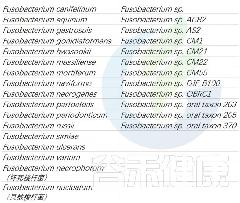 肠道核心菌属——梭杆菌（Fusobacterium） – 谷禾健康