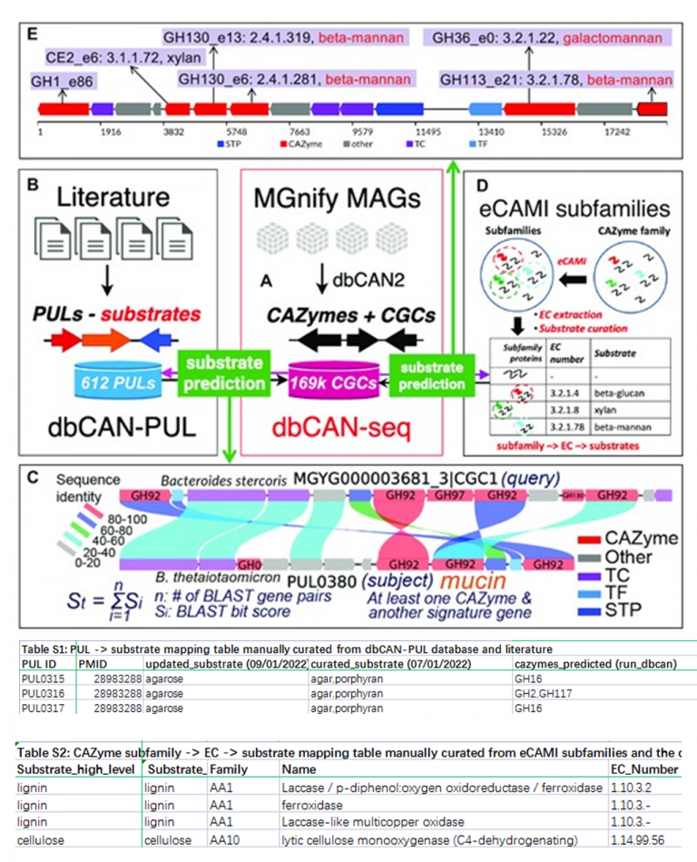 用于CAZyme研究领域的数据库——dbCAN-seq数据库更新 – 谷禾健康