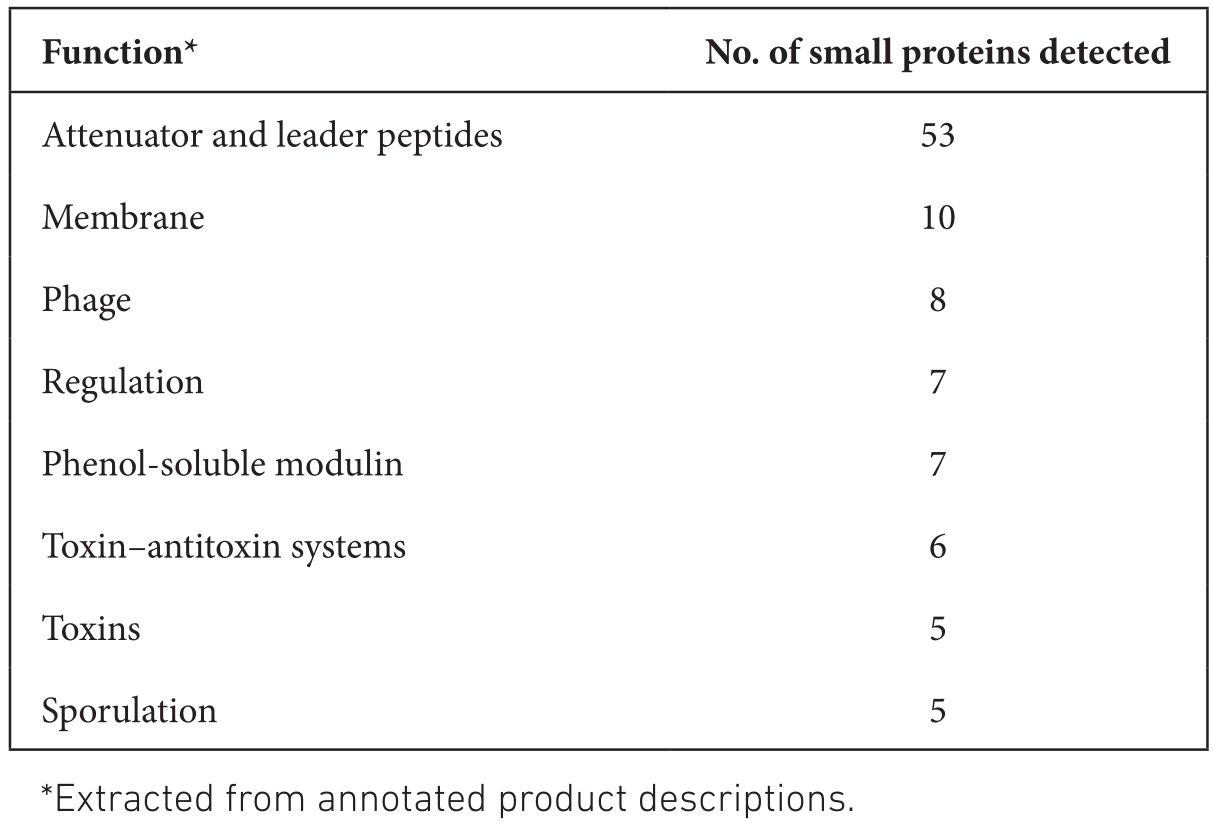 Bakta – 谷禾健康
