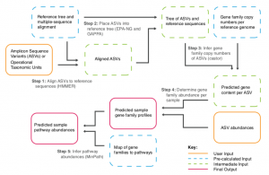 PICRUSt2在微生物功能预测分析中的应用解读 – 谷禾健康