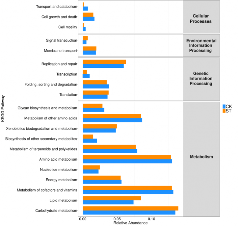 PICRUSt2在微生物功能预测分析中的应用解读 – 谷禾健康