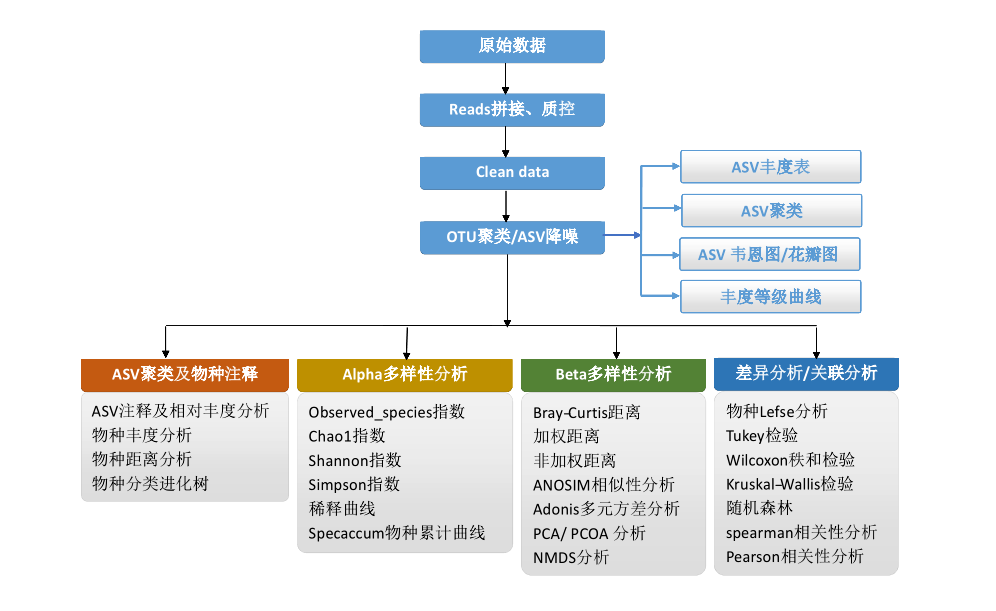 微生物测序报告中的多样性数据详细解读 – 谷禾健康