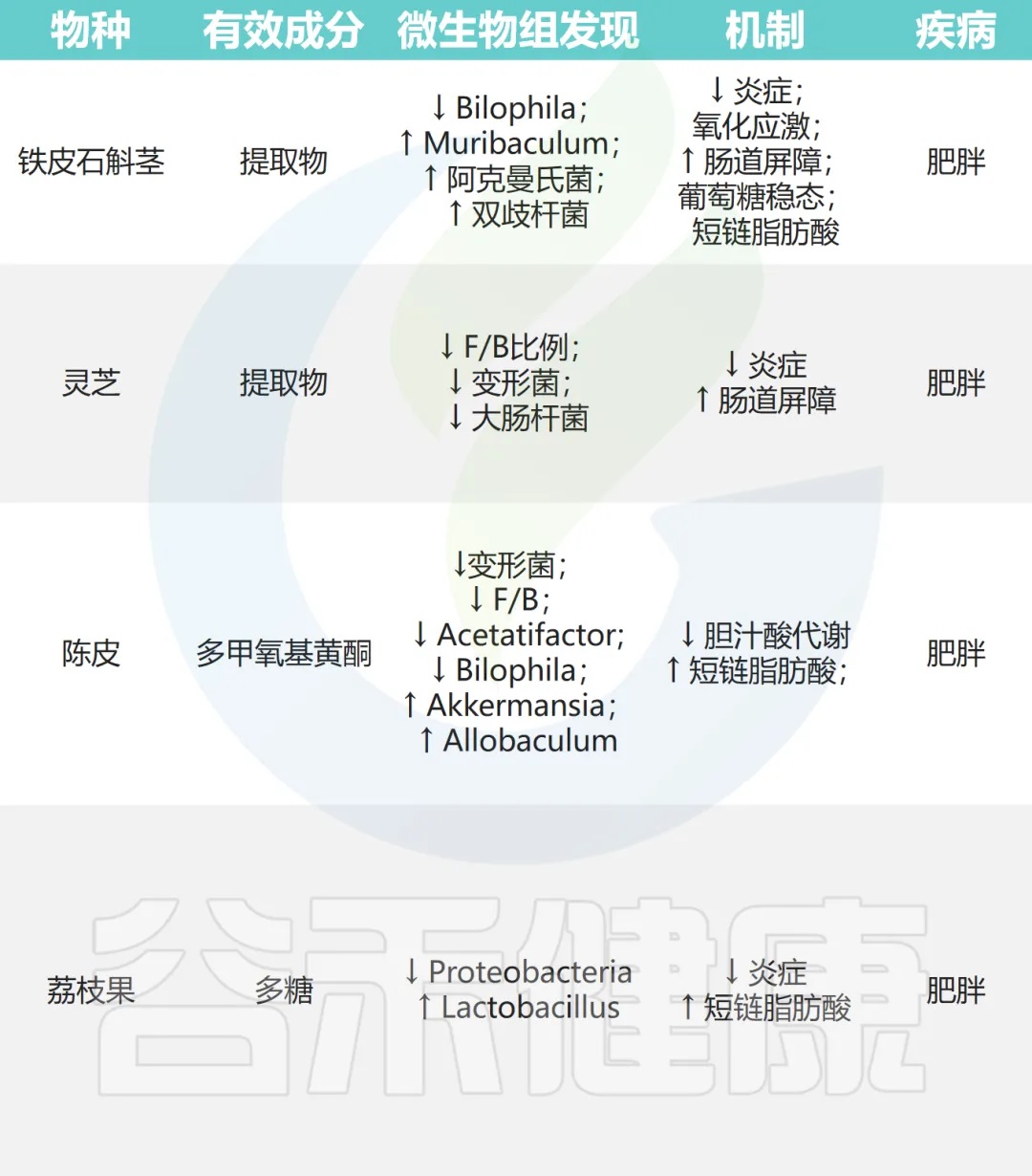 AKK菌 – 谷禾健康