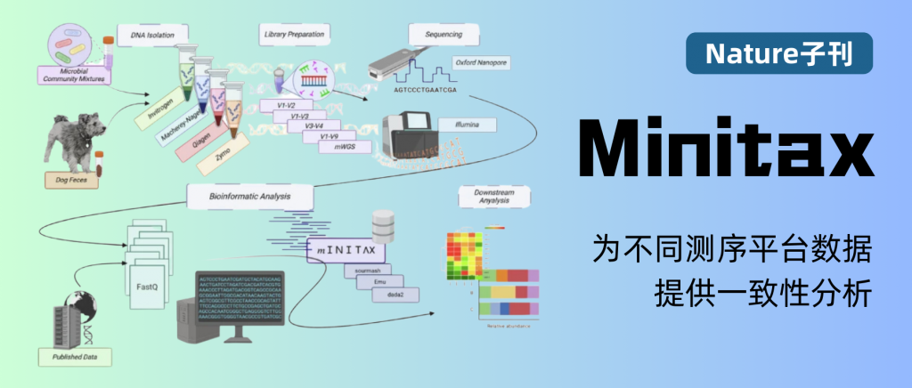 Minitax – 谷禾健康