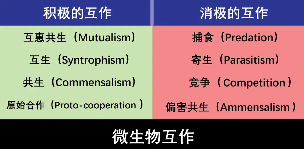 原始合作（Protocooperation） – 谷禾健康