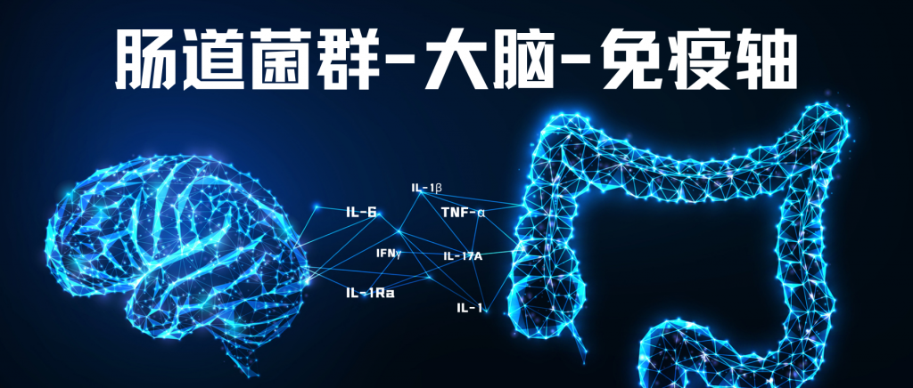 肠神经细胞（ENS） – 谷禾健康