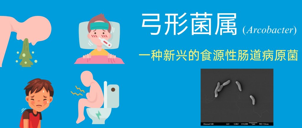 弓形菌属（Arcobacter）——一种新兴的食源性肠道病原菌 – 谷禾健康