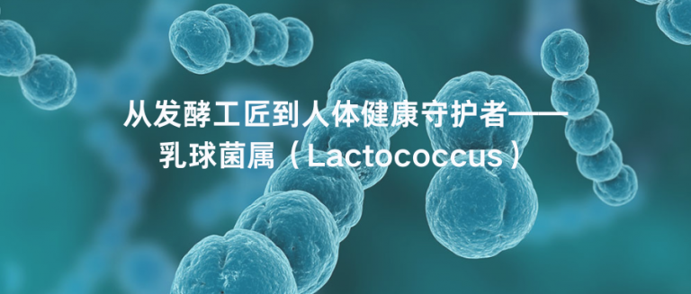 Lactococcus lactis HF08 – 谷禾健康